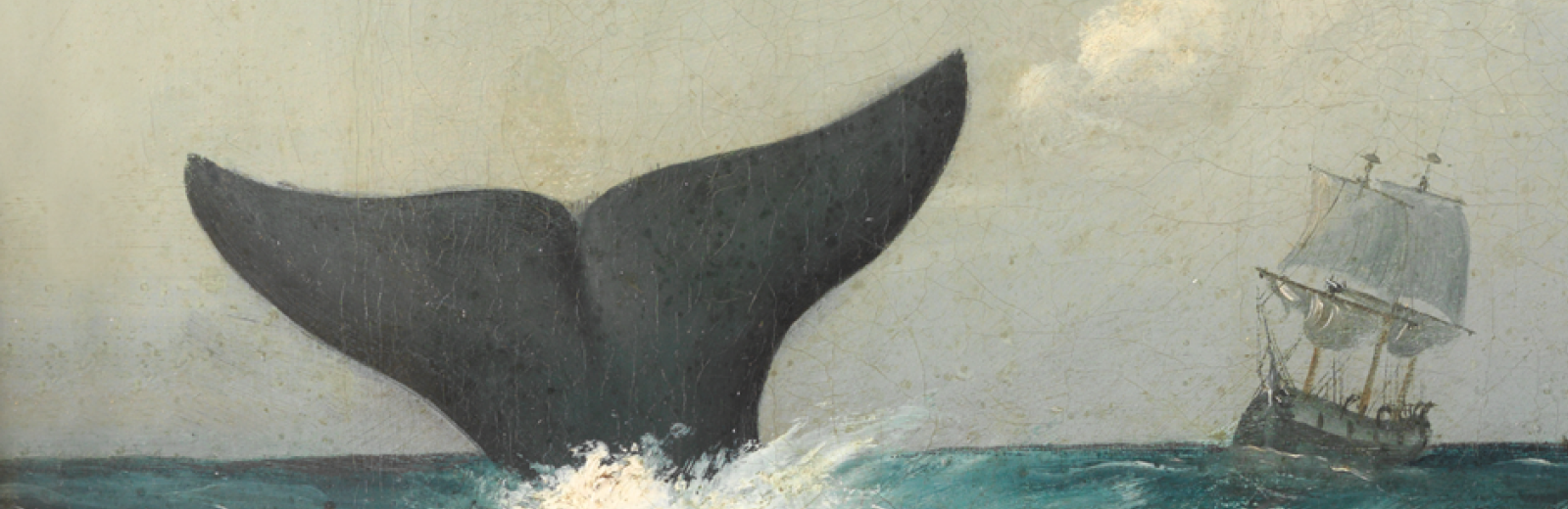 Whale of a Tale | Maritime Museum